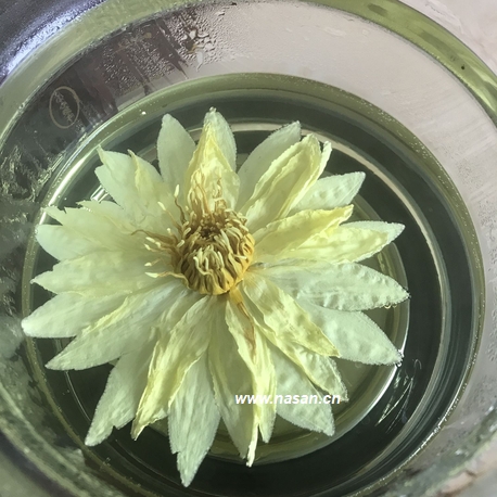 Lotus Flower Dryer-NASAN