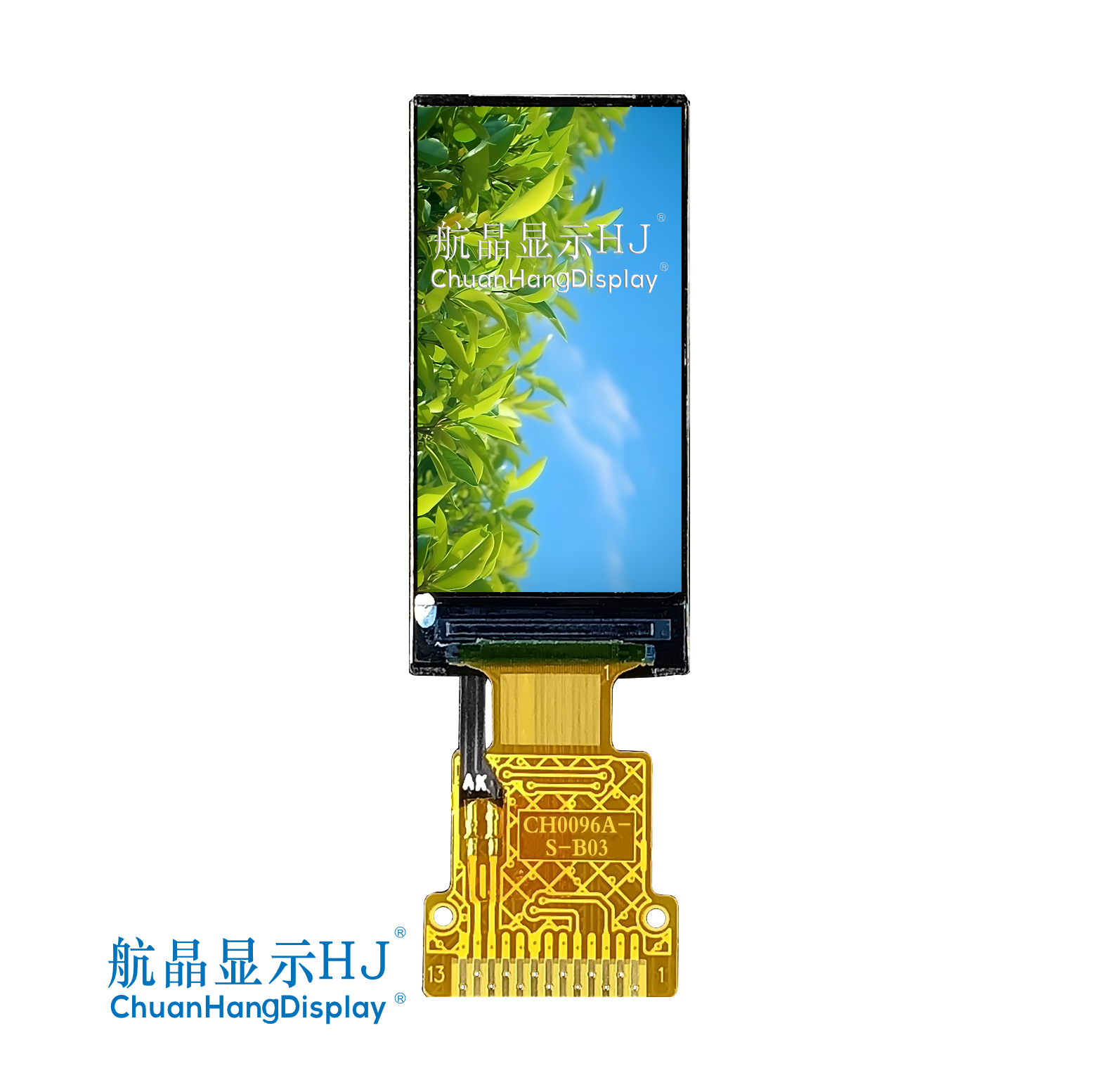 COG LCD Screen & Module - COB LCD, Character LCD, TFT, 7 Segment & OLED ...